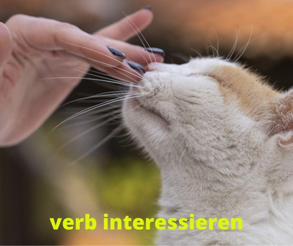 VERB İNTERESSİEREN ( SİCH ) BEİSPİELSÄTZE