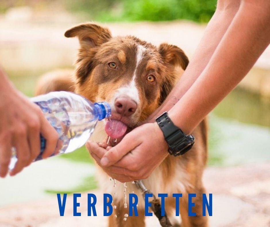 VERB RETTEN BEİSPİELSÄTZE – DEUTSCHE VERBEN LERNEN