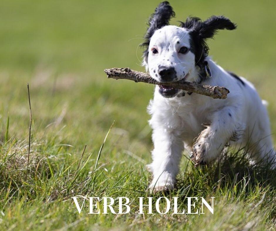 VERB HOLEN BEİSPİELSÄTZE – DEUTSCHE VERBEN LERNEN